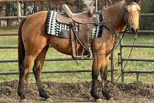 AQHA Foundation Bred Mare ~Honey~ **Sale Pending**