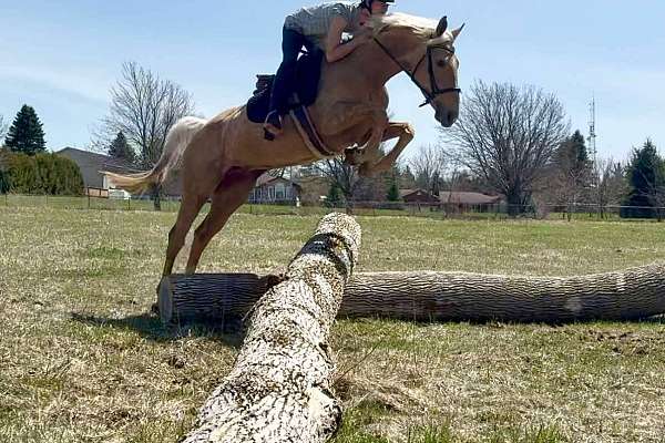 In Utero Ragnarok X Arts Aero