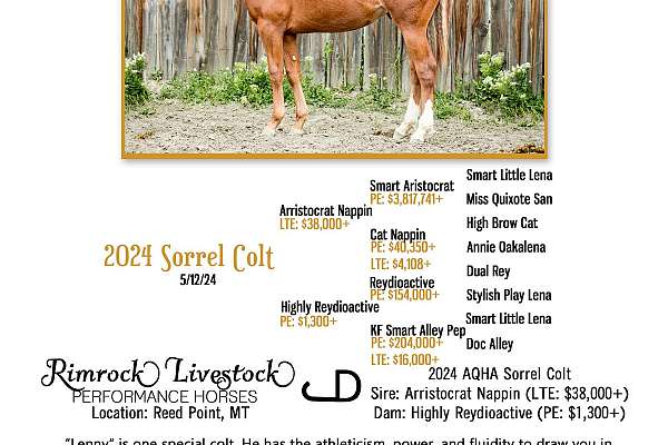 Shugga Rey - Dual Rey Top Notch Prospect