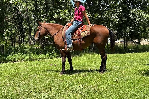 Registered Curly Mare See Her New Video!
