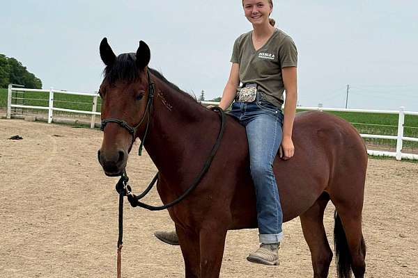 Ca Boot Scootin' Boogie- 2yo, All Around Prospect