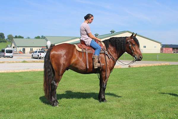 Bombproof Draft Cross