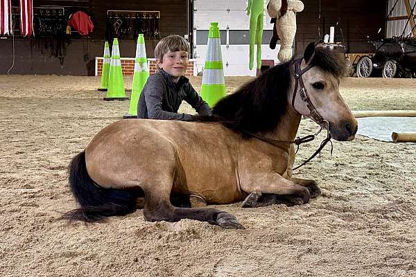Step-Up Superstar – Twix is Ready to Go!