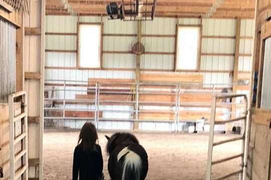 Barn and 7 acre pasture for lease