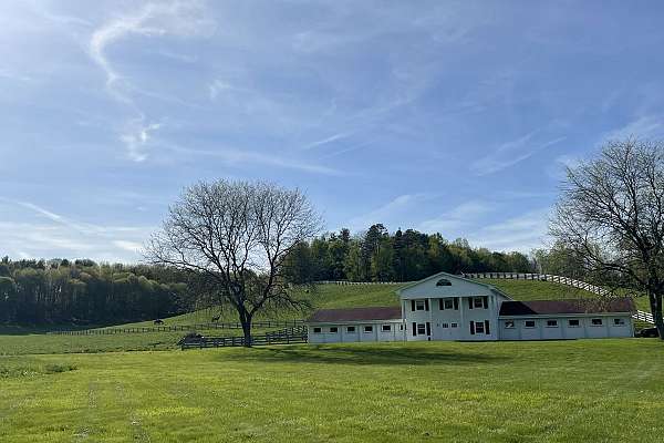 Part time stable help wanted