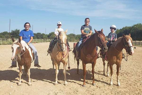 2B Performance Horses LLC. Riding Lessons