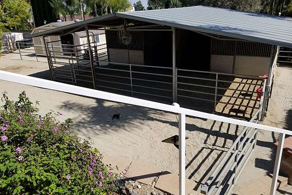 Stall for Rent Southern California