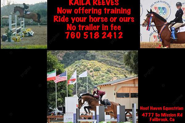 Horseback riding lessons