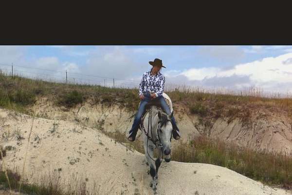 Horse training, colt starting, riding lessons, consignments