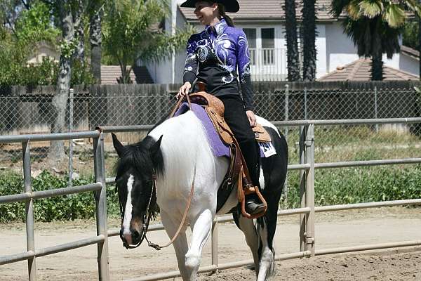 Western Horse Training in San Diego, CA