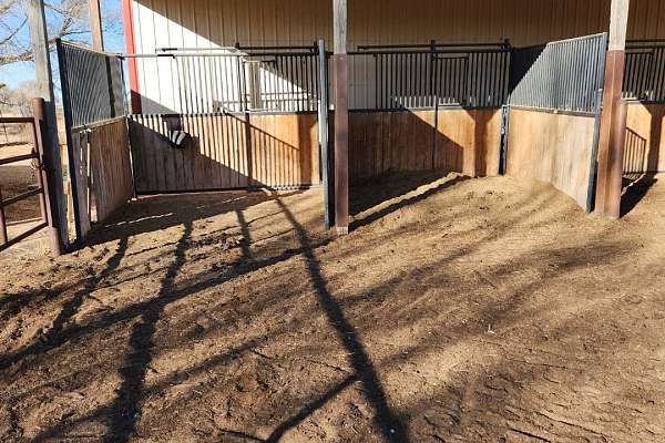 Horse boarding stalls