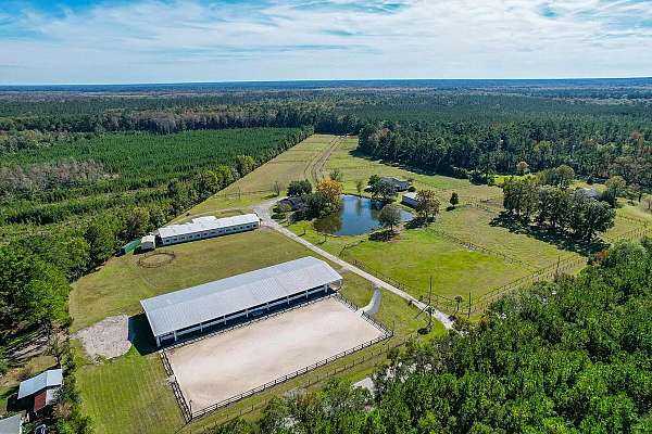 Ivy Bridge Stables LLC