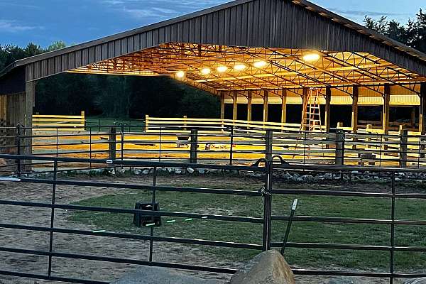 Horse Training & Colt Starting