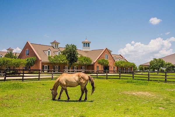 The Stables at Le Bocage, Lake Charles, Louisiana