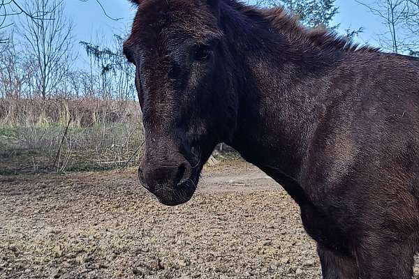 No light points jack