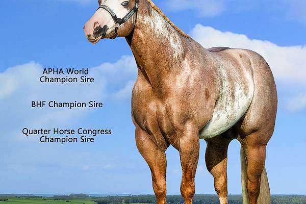 Intensions Has Moved!