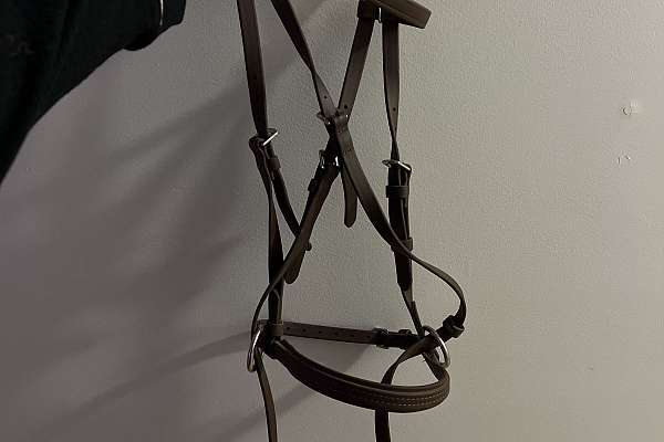 Dr. Cook’s brown brown bit less bridle