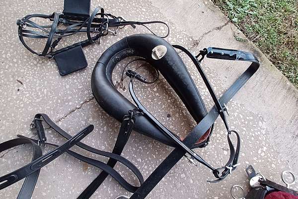 Biothane Pony Harness