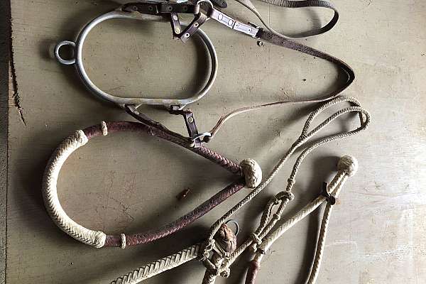 Bosal