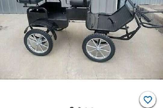 Pony Sized Trail Buggy