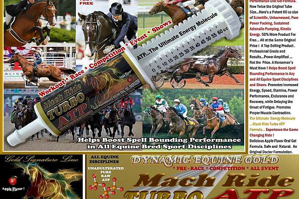 Mach Ride Turbo ATP Equine Sustained High Energy Performance Oral Gel