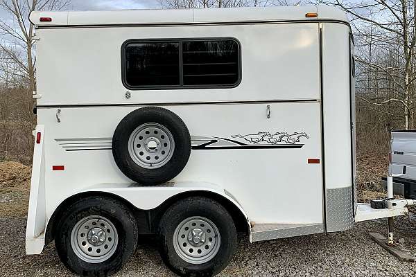 2014 2 horse Bee trailer