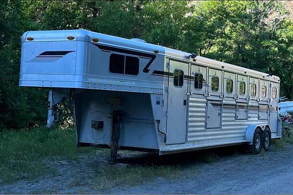 02 4Star 6 horse trailer