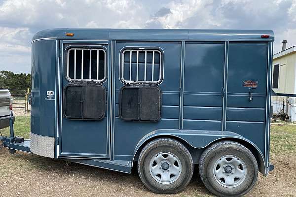 2021 calico 2 horse slant