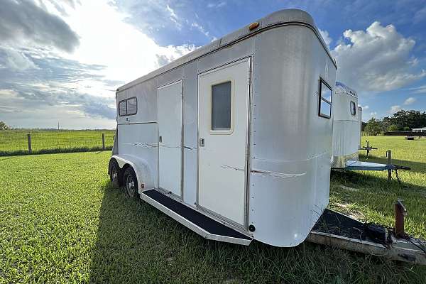 2001 Adam 2 Horse Straight Load Bumper Pull
