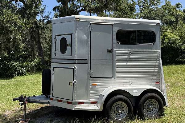 2-Horse Straight Load Bumper Pull Trailer