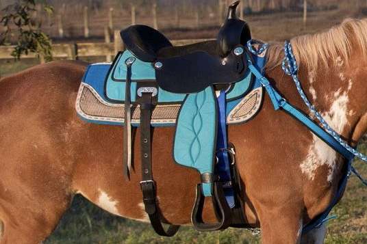 Tough 1 King Series Blue/Teal