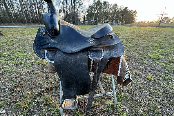 Western Saddle