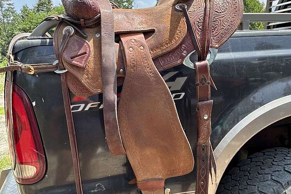 Sheridan Ranch Roper