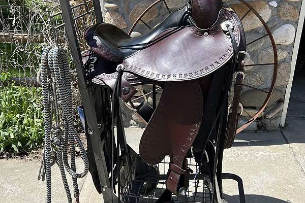 Alabama Trail Gaiter Saddle