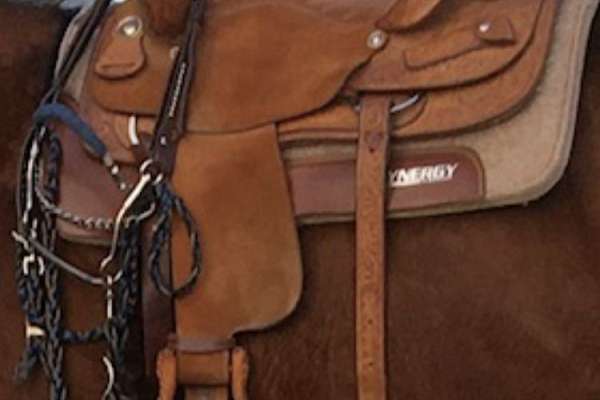 16” Billy cook cutter