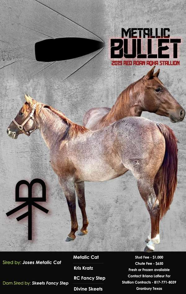 AQHA Metallic Bullet