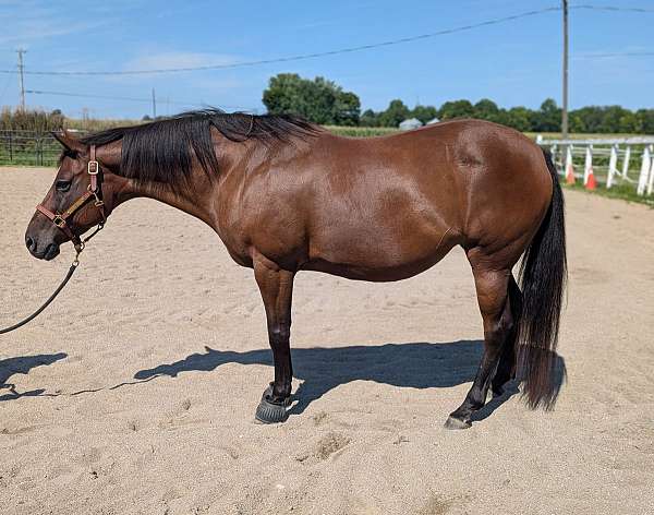 Gorgeous, Sweet Mare