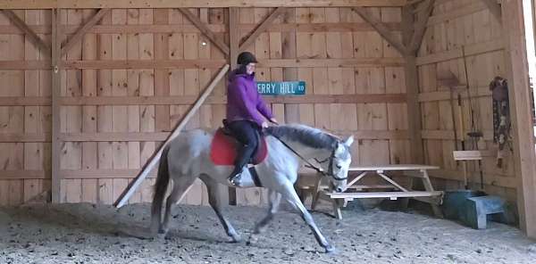 Partial Lease On Ruby