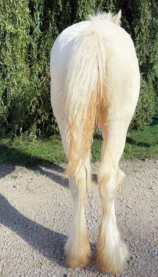 Gitt'n Finger Lickin Good Aka Crisco