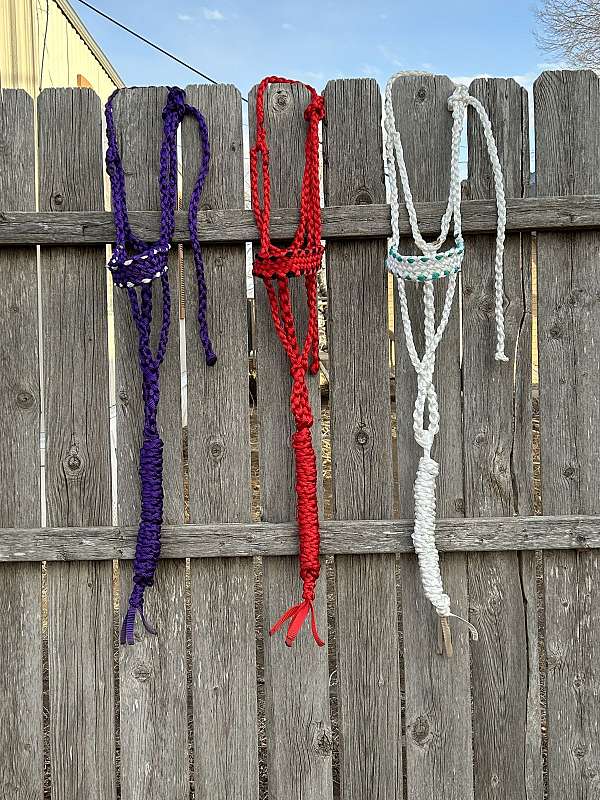 Buck stitched mule tape halter