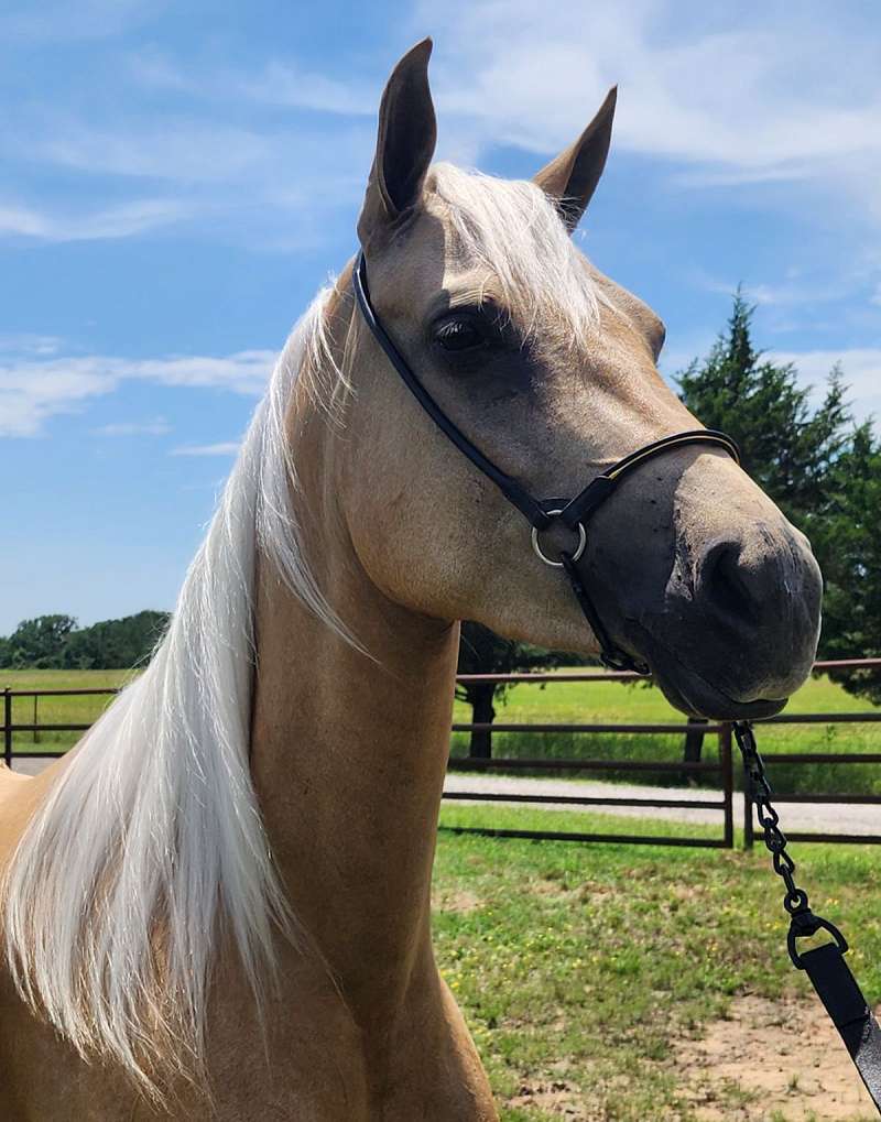 Carmen Crem Dela Crem