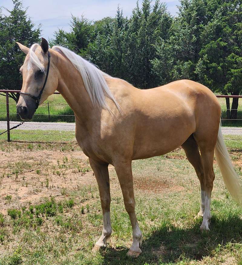 Carmen Crem Dela Crem