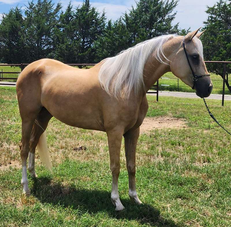 Carmen Crem Dela Crem