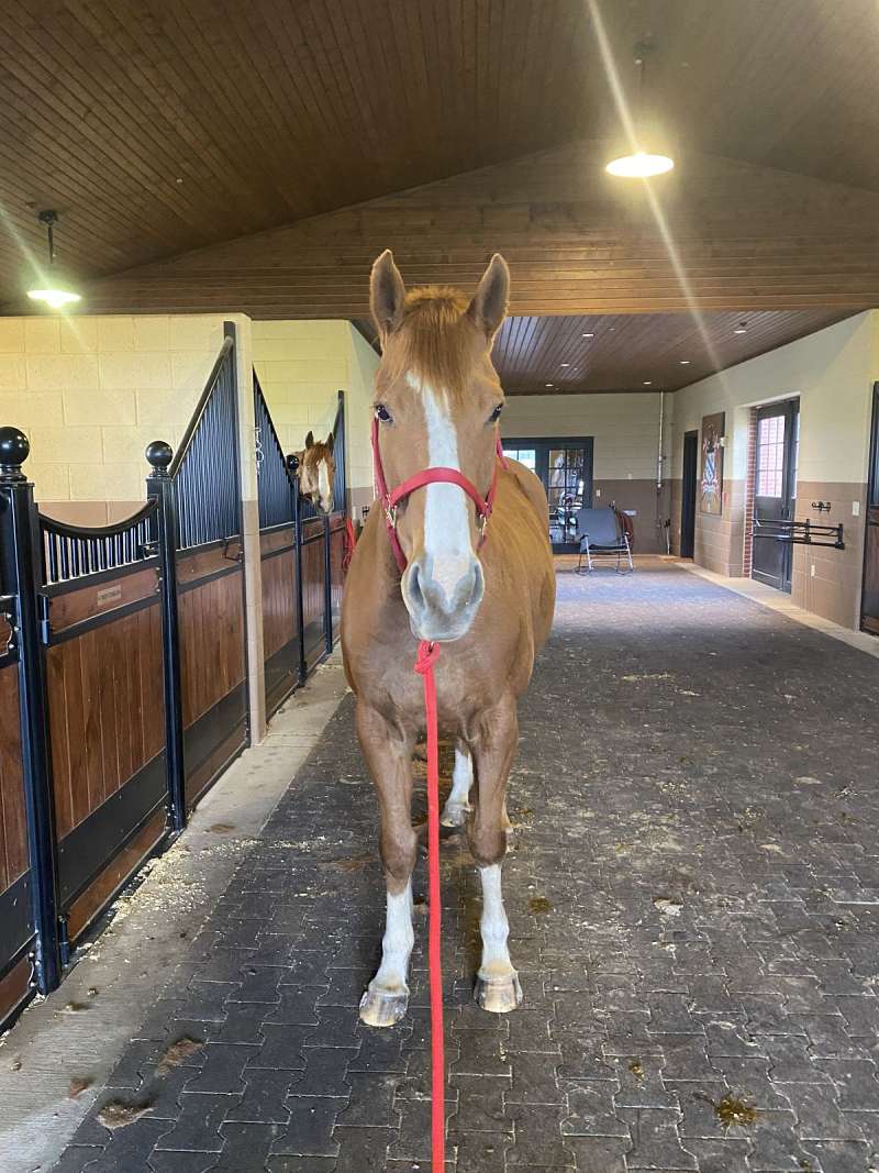 Albert” JC- Aundreya’S Boy