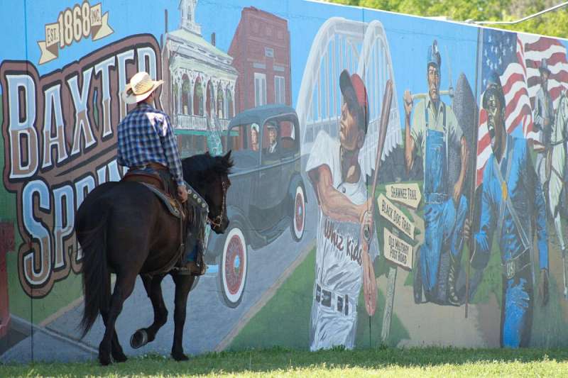 Midnight - Dream Horse Deluxe 5 Yr Old Dark Bay Draft Cross Gelding!