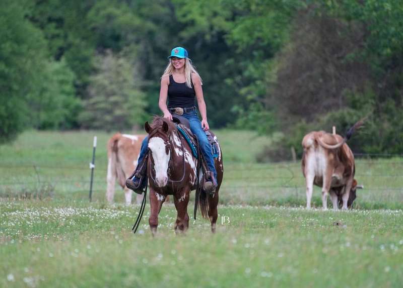 Loki - Stunning Ranch & Trail Horse 8 yo Sorrel Overo Paint Horse Gelding!