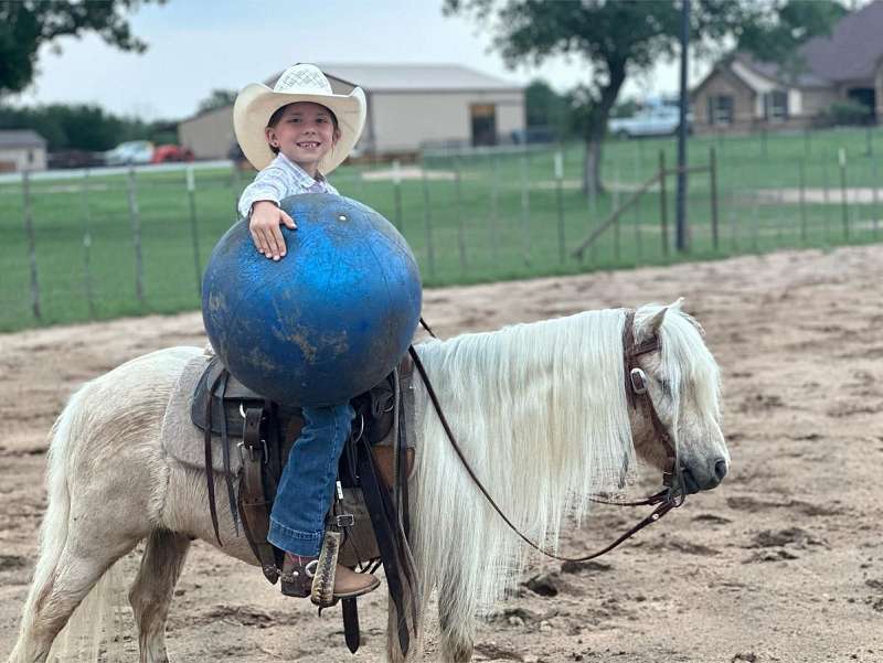Lemon Drop - Drop Dead Gorgeous 15 Yr Old Palomino Shetland Pony Gelding!