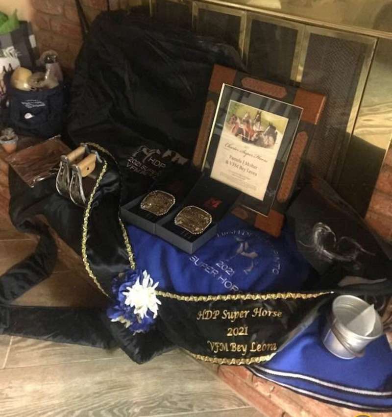 Stunning Registered Multi Champion Miniture Pinto Mare