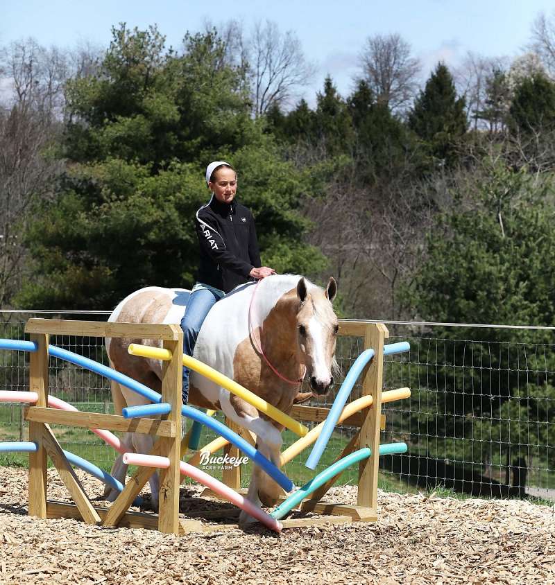 Twinkie is the Definition of Special. This Gorgeous 2019 Model Gypsy Cross