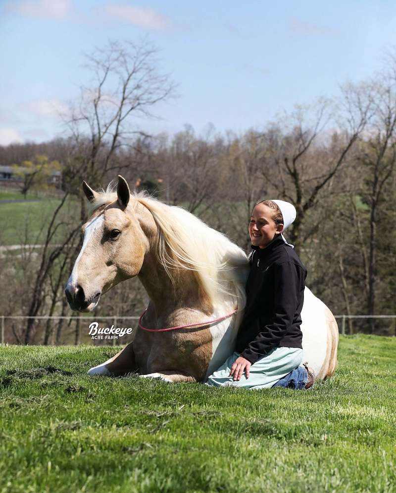 Twinkie is the Definition of Special. This Gorgeous 2019 Model Gypsy Cross